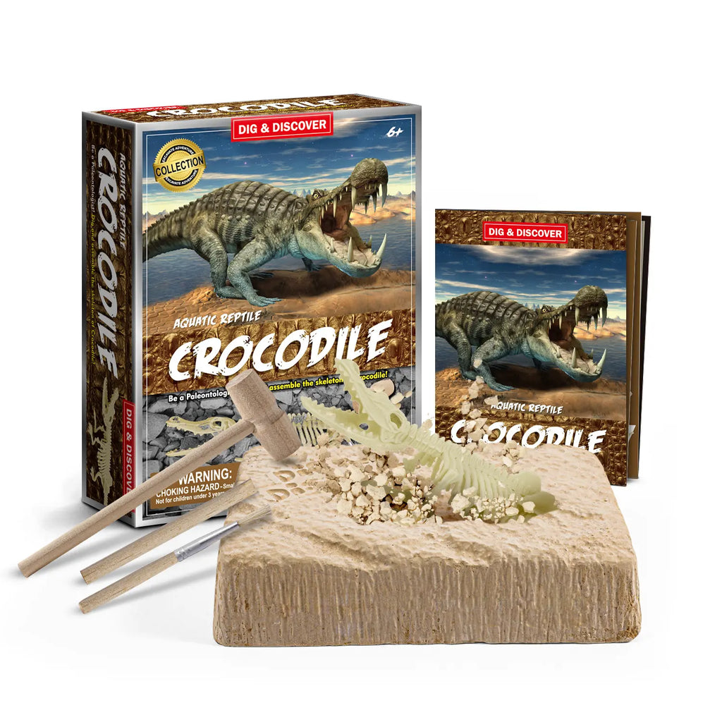 Piano Potato - Crocodile Dig Kit — Polly's Toys & Gifts